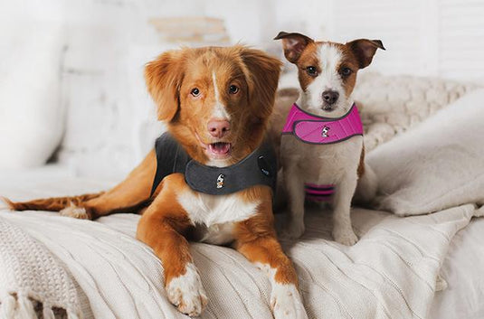 THUNDERSHIRT®